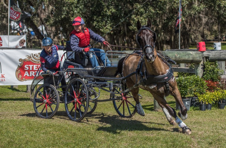 Live Oak International - Combined Driving & Show Jumping - Ocala, FL ...