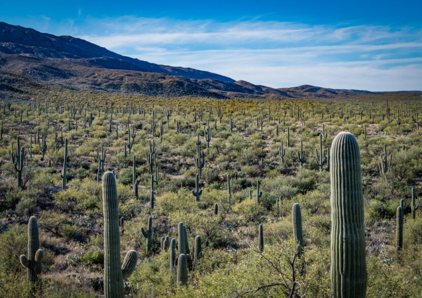 Tanque Verde Ranch - Tucson, AZ - Part 2 – The Illuminating Lens